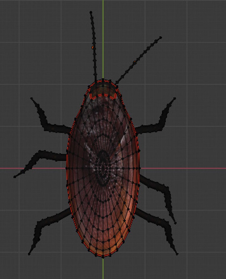 3D Model Roach Cockroach - TurboSquid 1525621