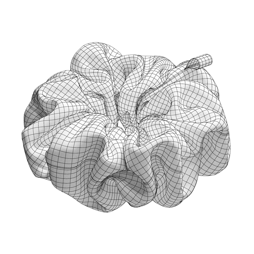 Scrunchie Model - TurboSquid 2056911