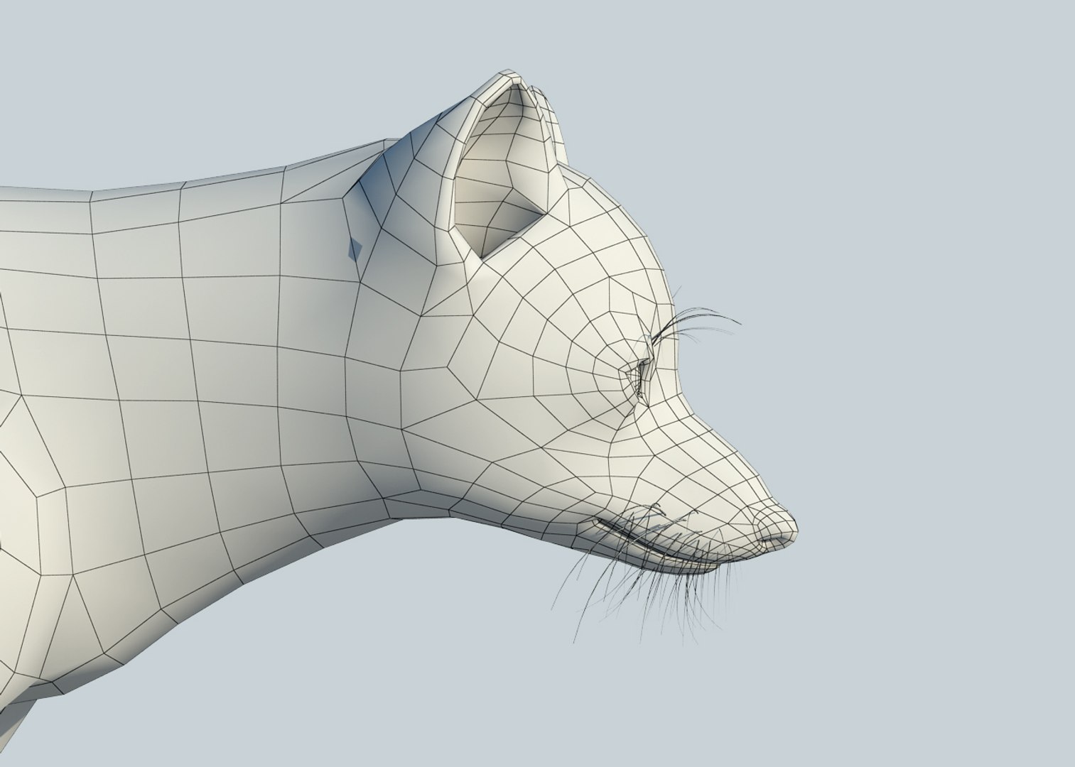 3d Arctic Fox Fur Model