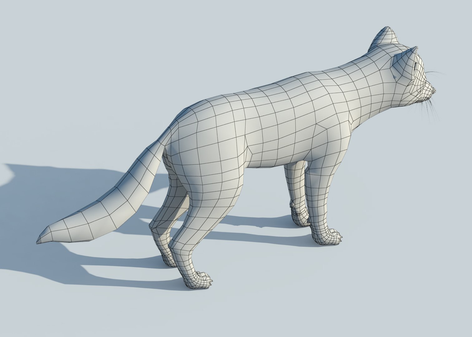 3d Arctic Fox Fur Model