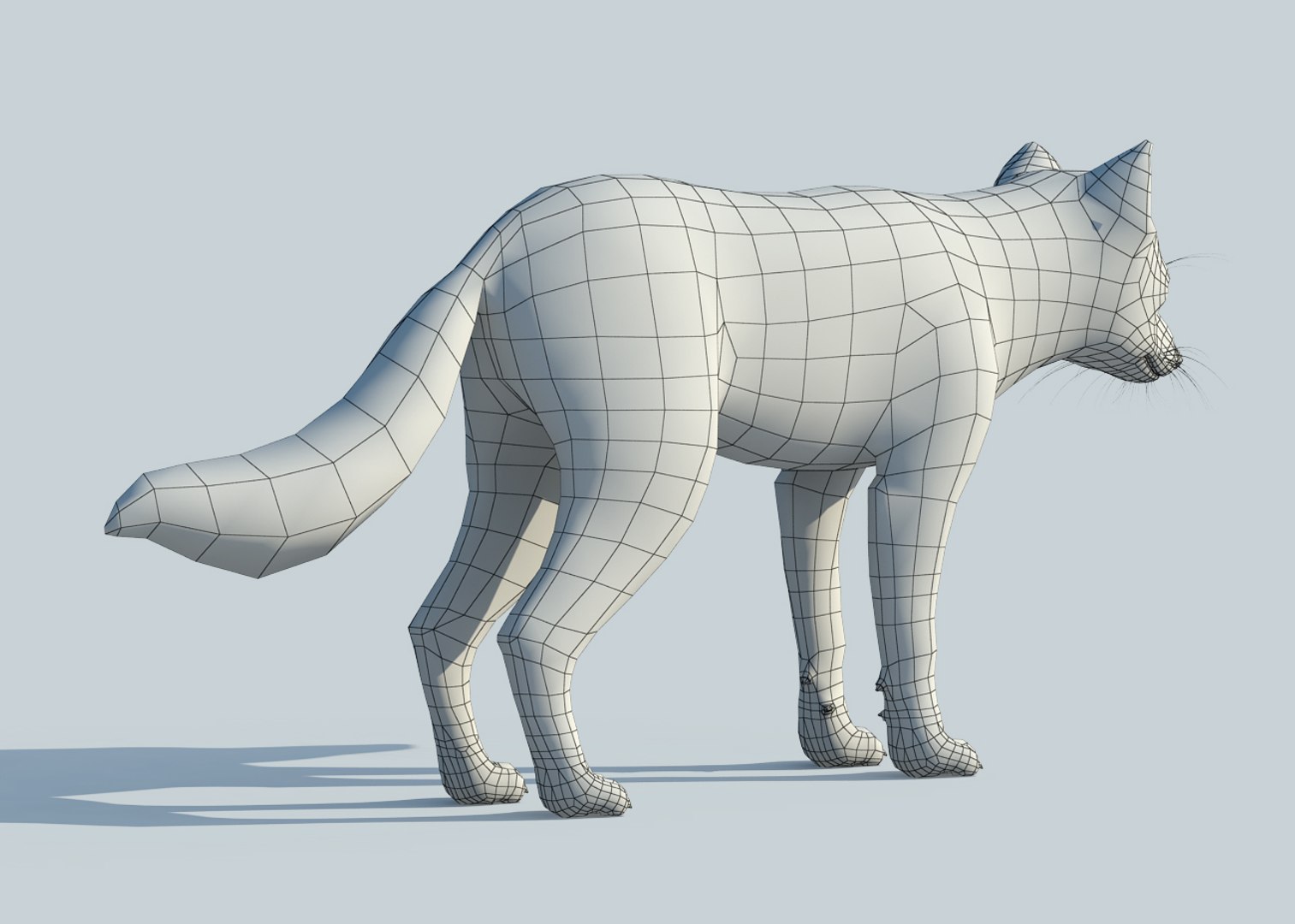 3d Arctic Fox Fur Model