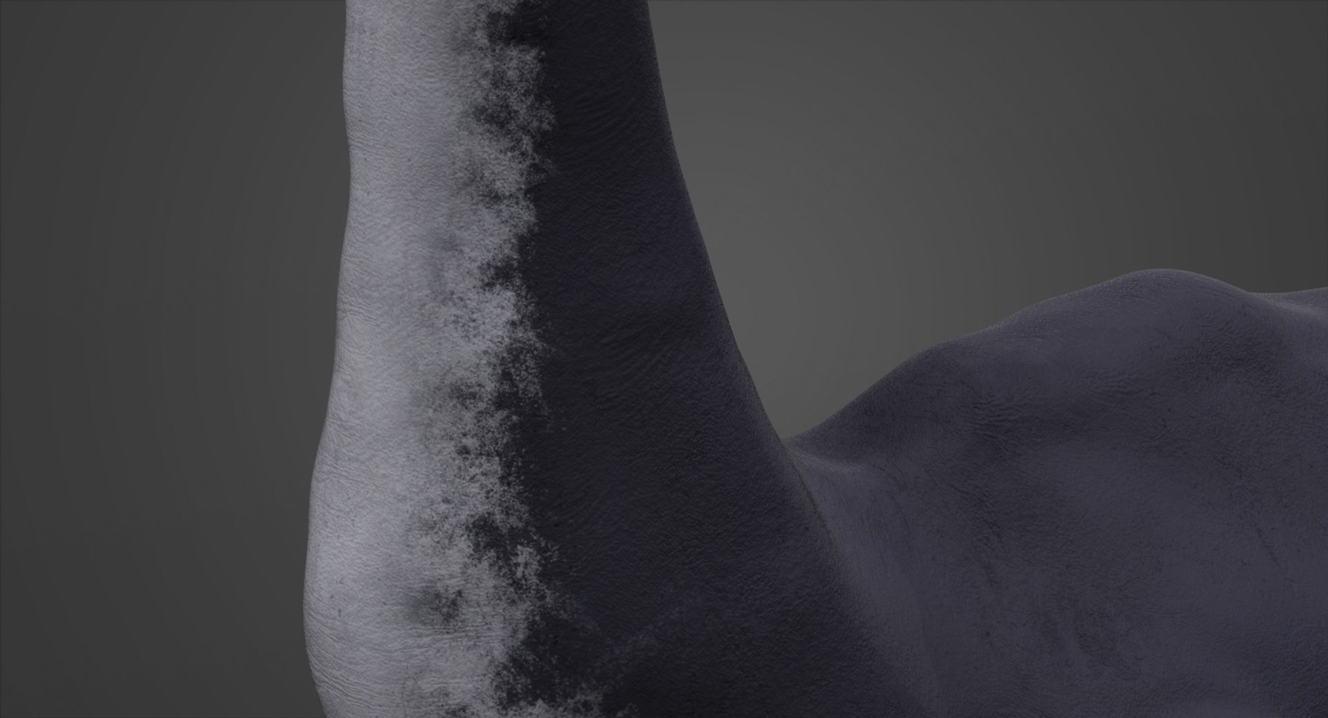 Loch Ness Monster Nessie 3D Model - TurboSquid 1421202