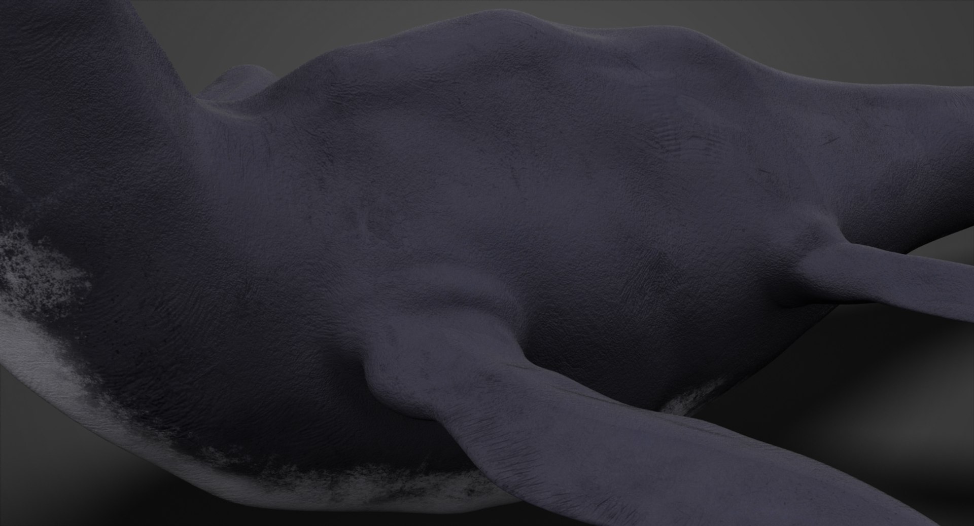 Loch Ness Monster Nessie 3D Model - TurboSquid 1421202