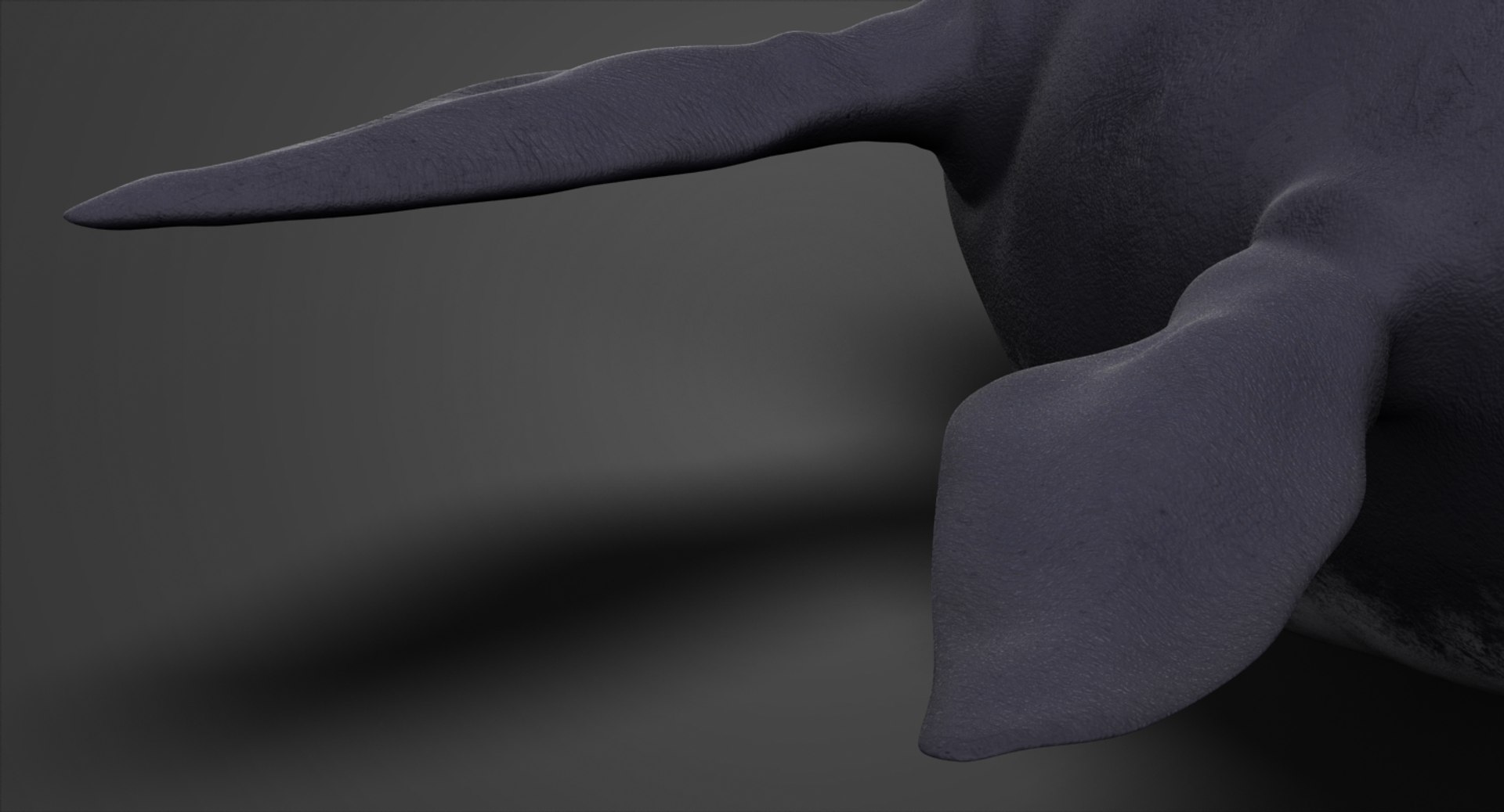 Loch Ness Monster Nessie 3D Model - TurboSquid 1421202