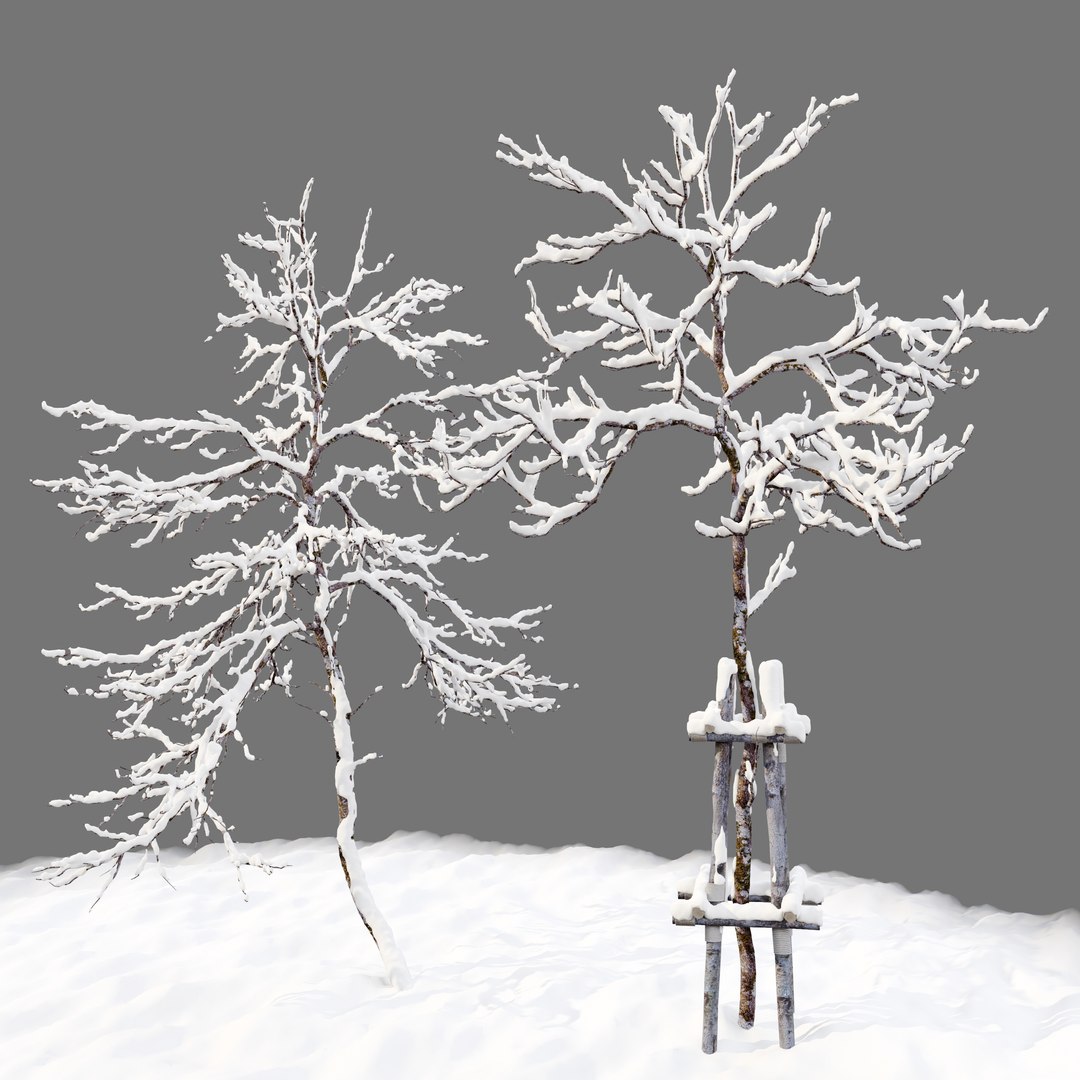 3D Winter young trees - TurboSquid 2042019