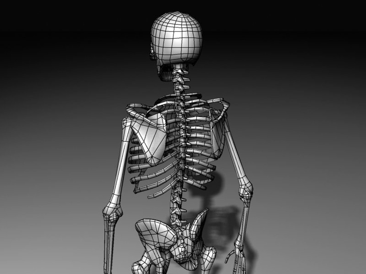 3d Nextgen Skeleton
