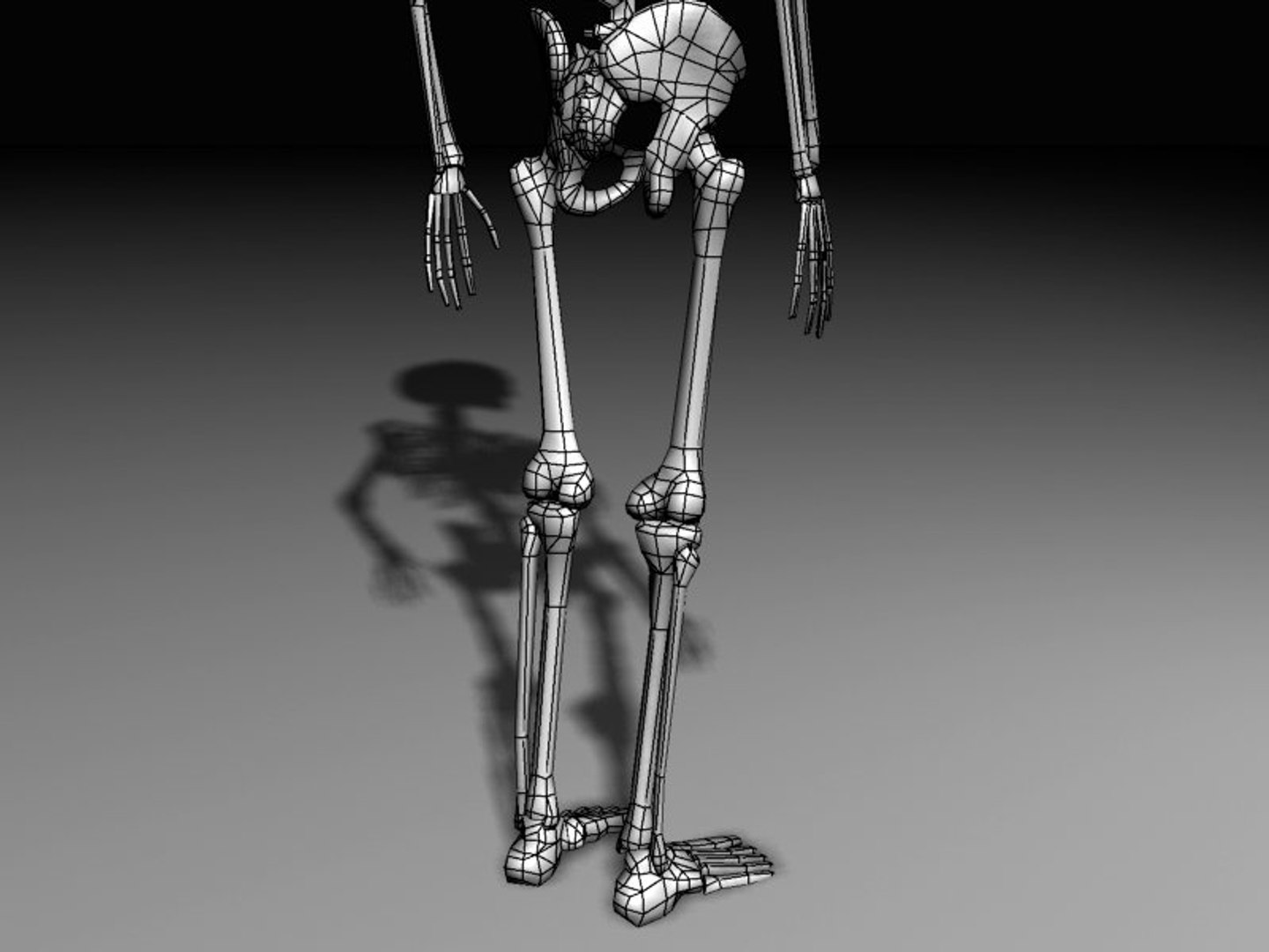 3d Nextgen Skeleton