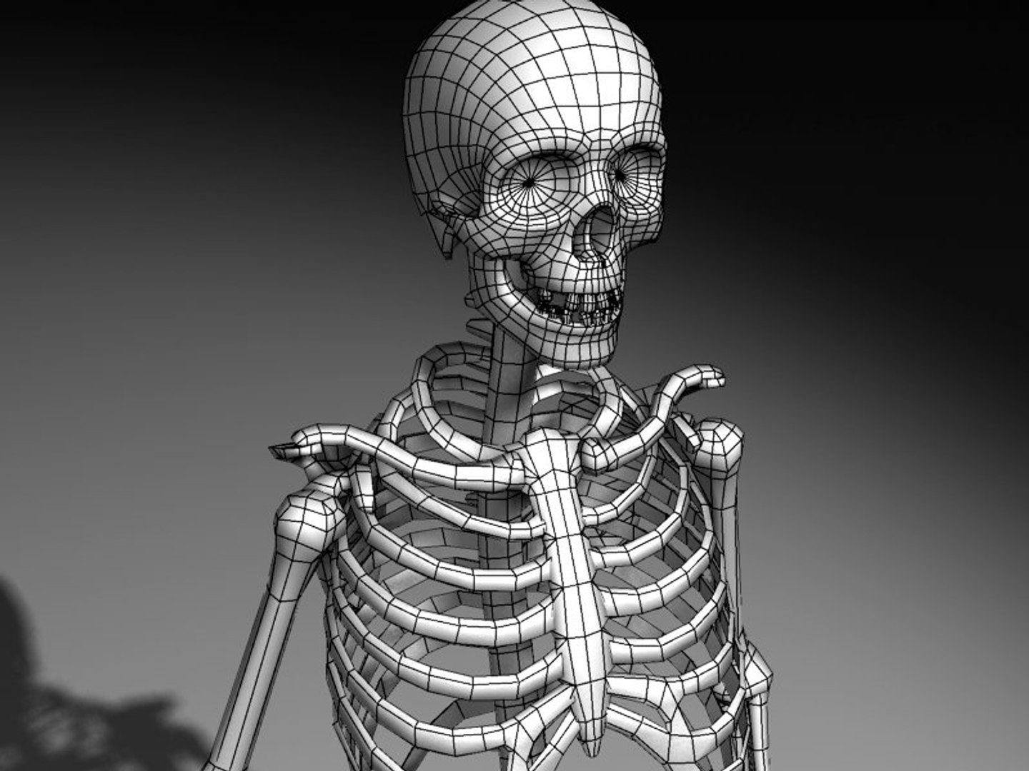 3d Nextgen Skeleton