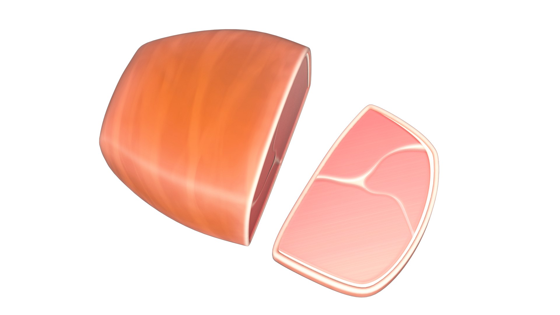 Cartoon Ham 3D model - TurboSquid 2078828