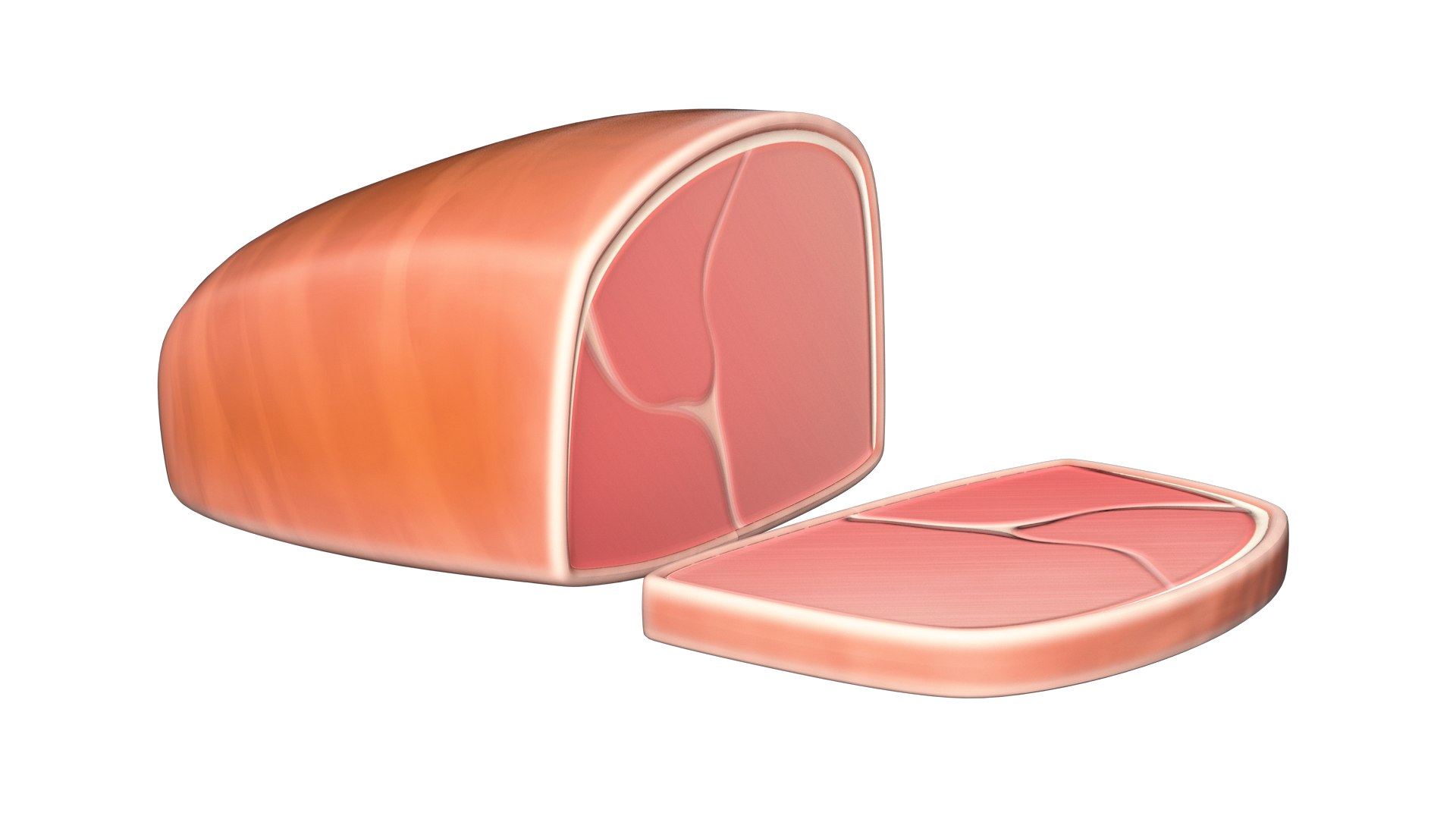 Cartoon Ham 3D model - TurboSquid 2078828