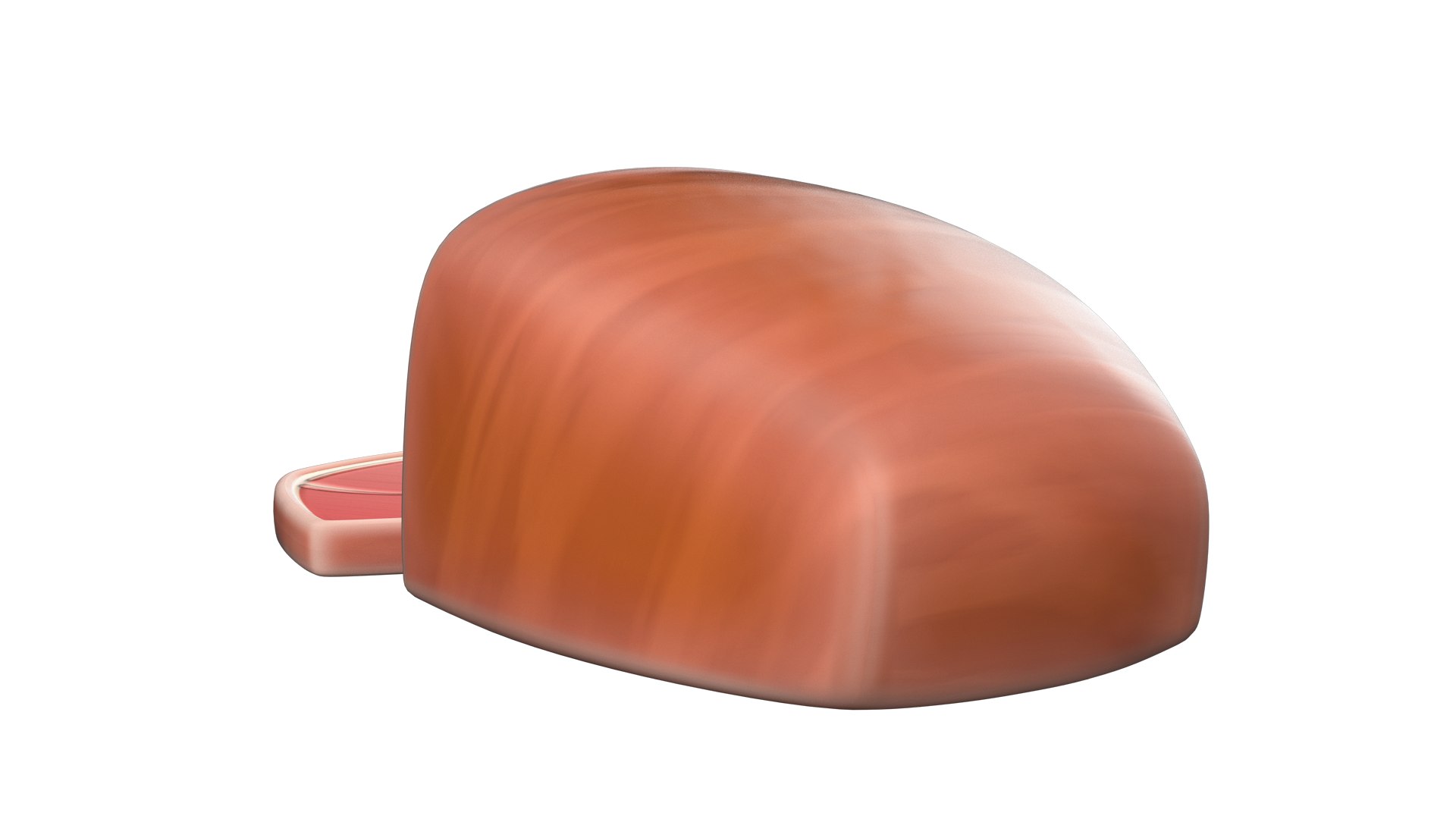Cartoon Ham 3D model - TurboSquid 2078828