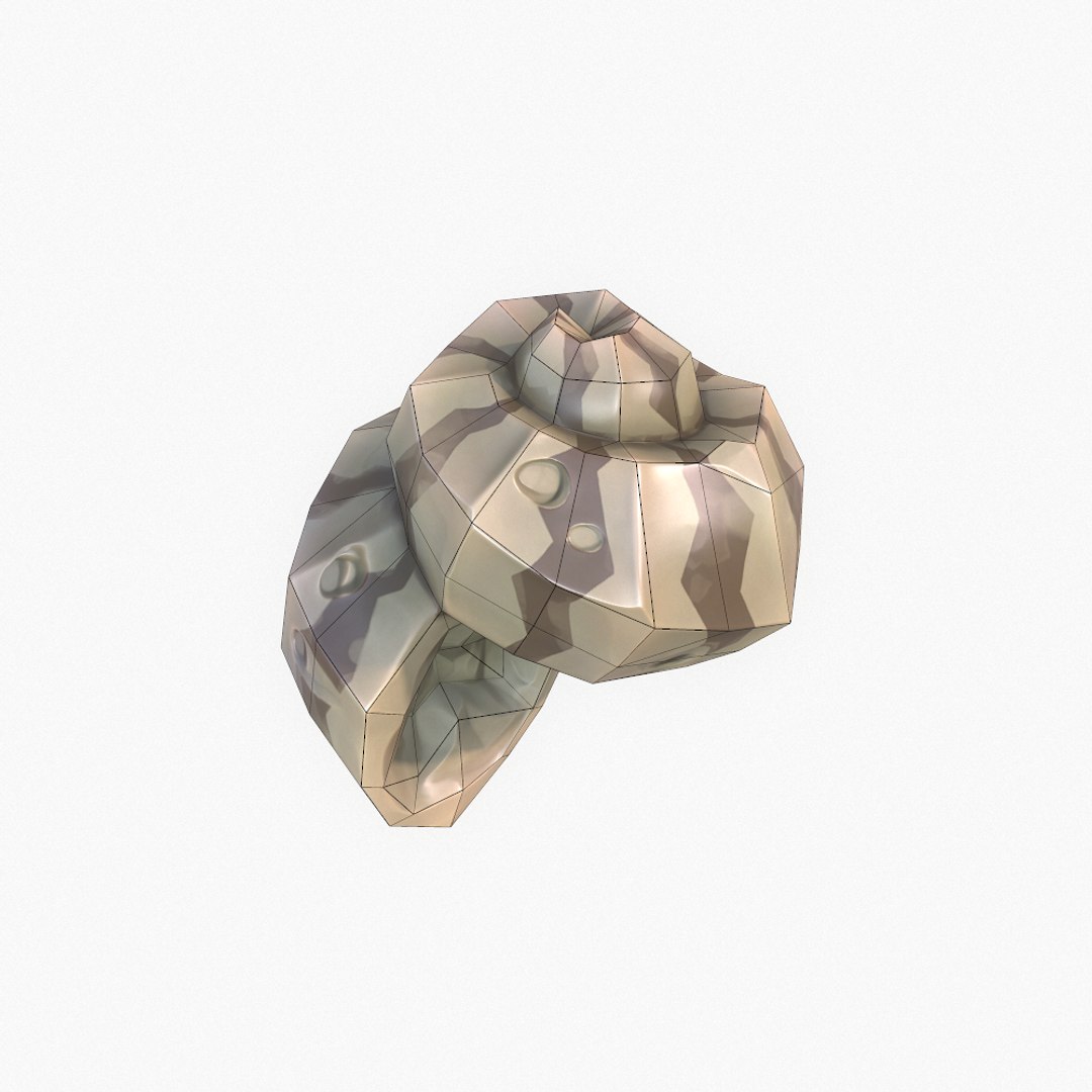 Cartoon Shell Obj