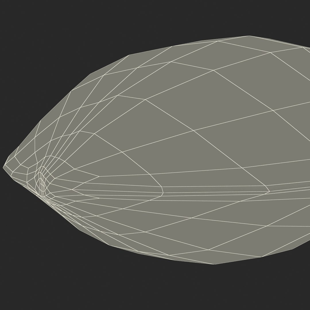 Almond Modelled 3d Model