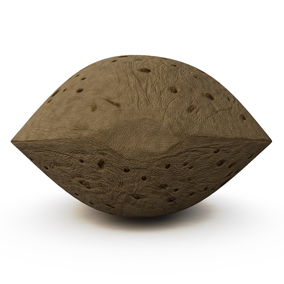 Almond Modelled 3d Model