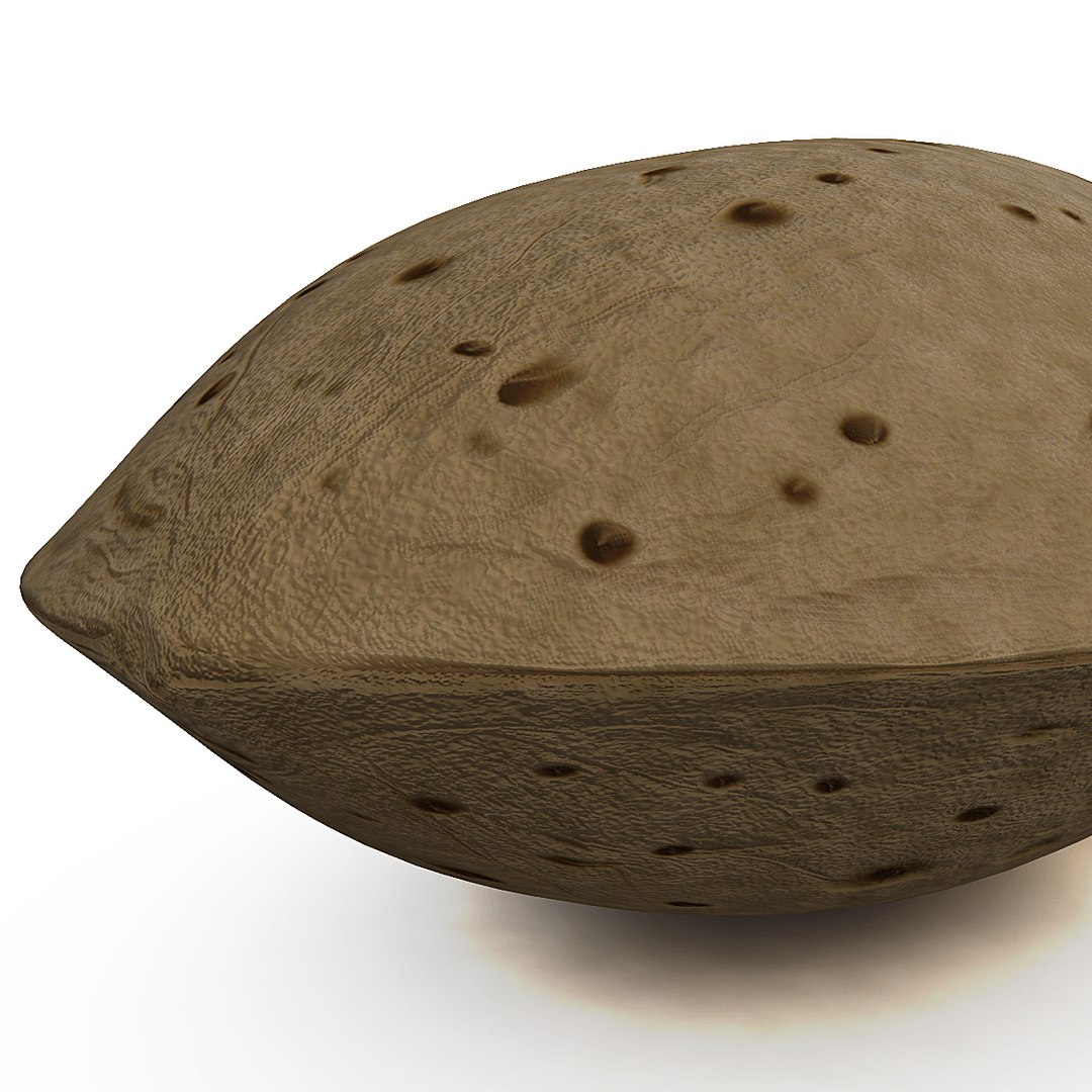 Almond Modelled 3d Model