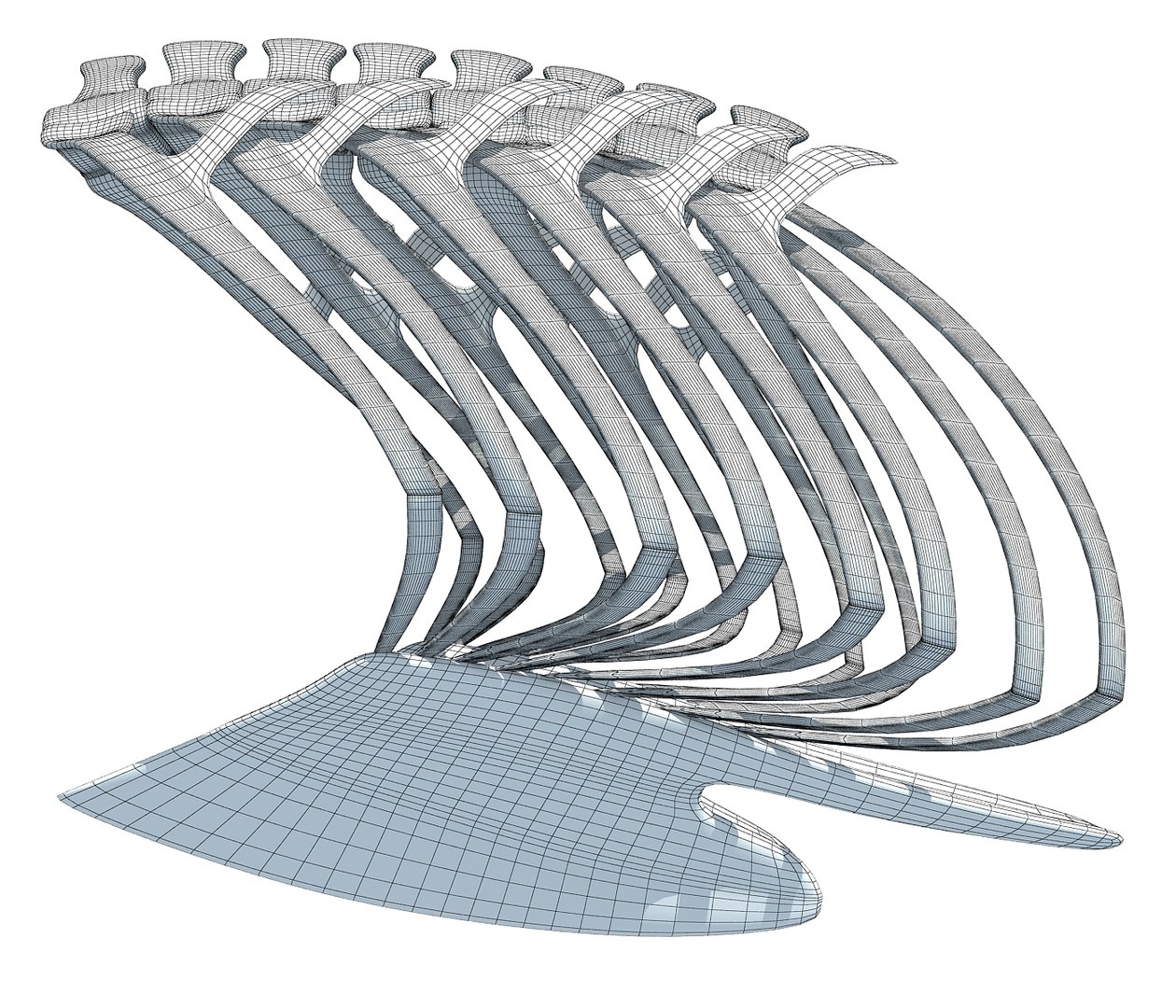 Bird Rib Cage 3D - TurboSquid 1178007