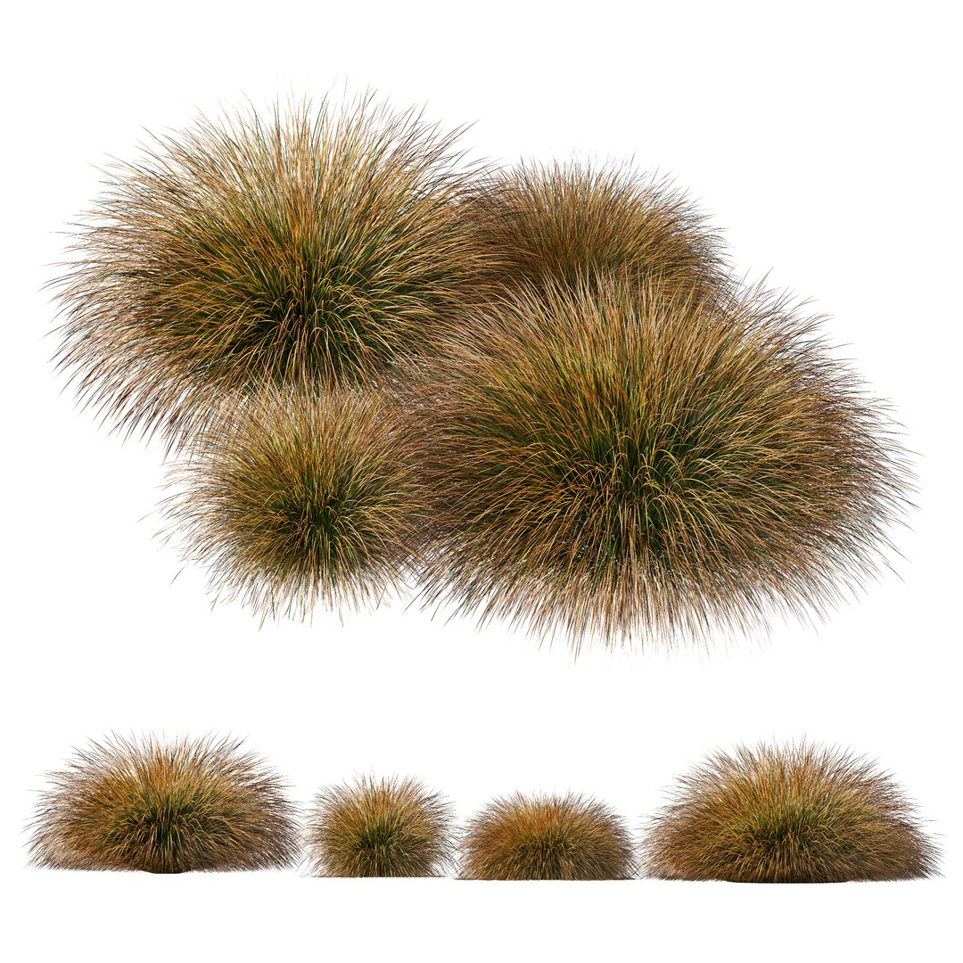 6 Different SETS Of Grass SET VOL03 3D - TurboSquid 2126336