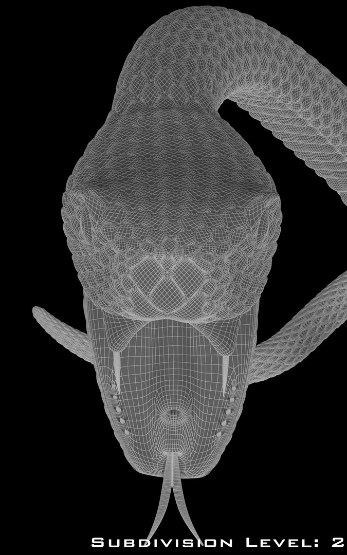 viper snake scale max