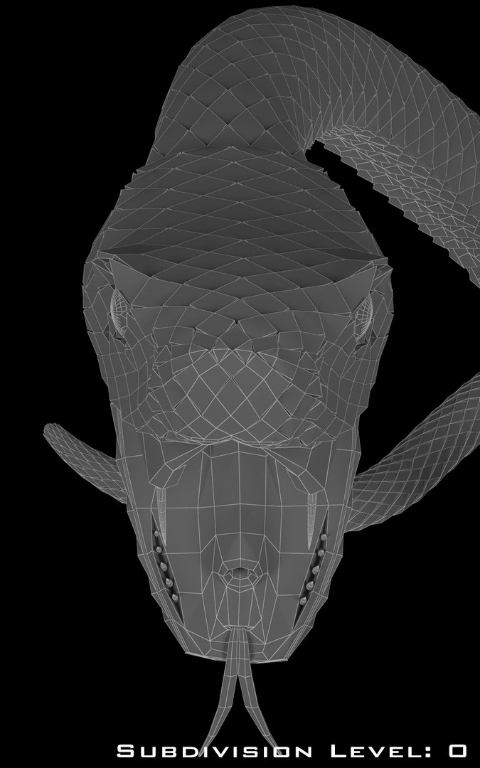 viper snake scale max