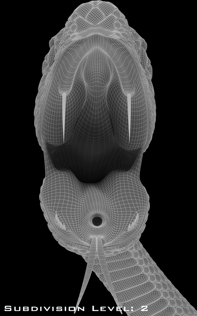 viper snake scale max