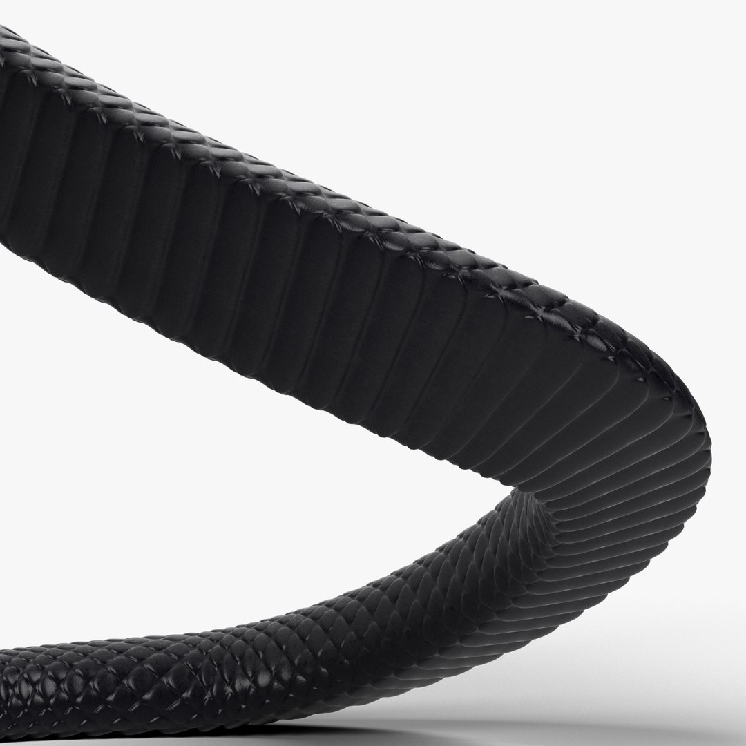 Viper Snake Scale Max