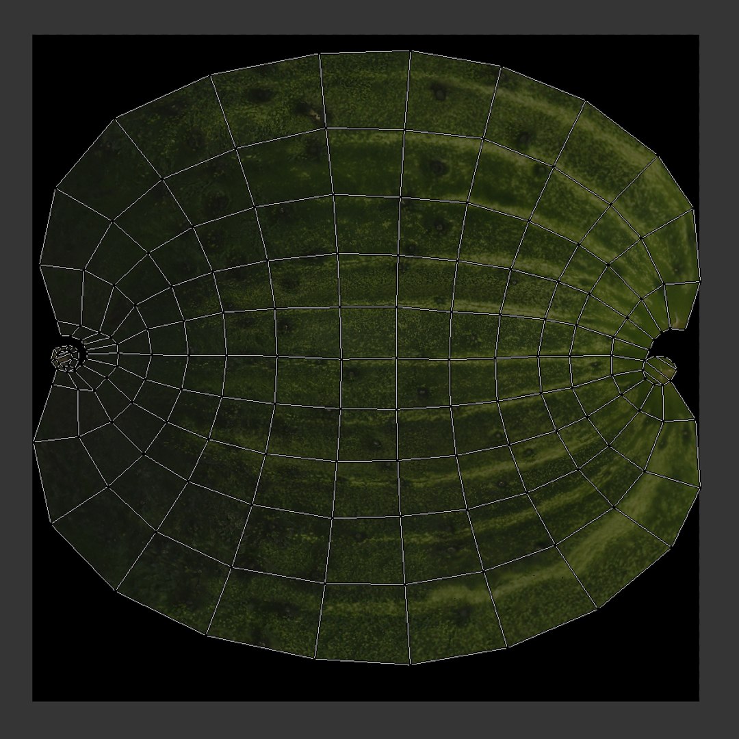 Blend Realistic Cucumber