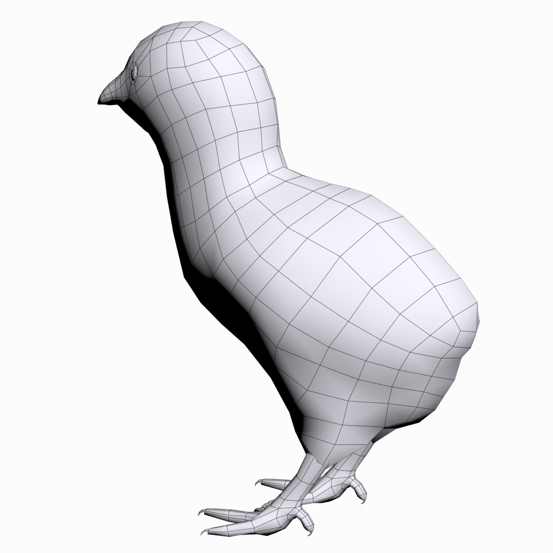 3d Chick Baby Chicken Model