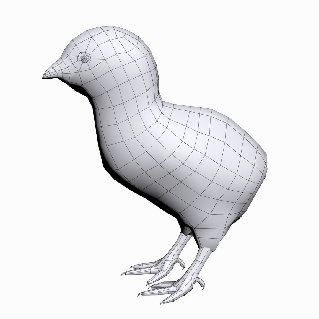 3d Chick Baby Chicken Model