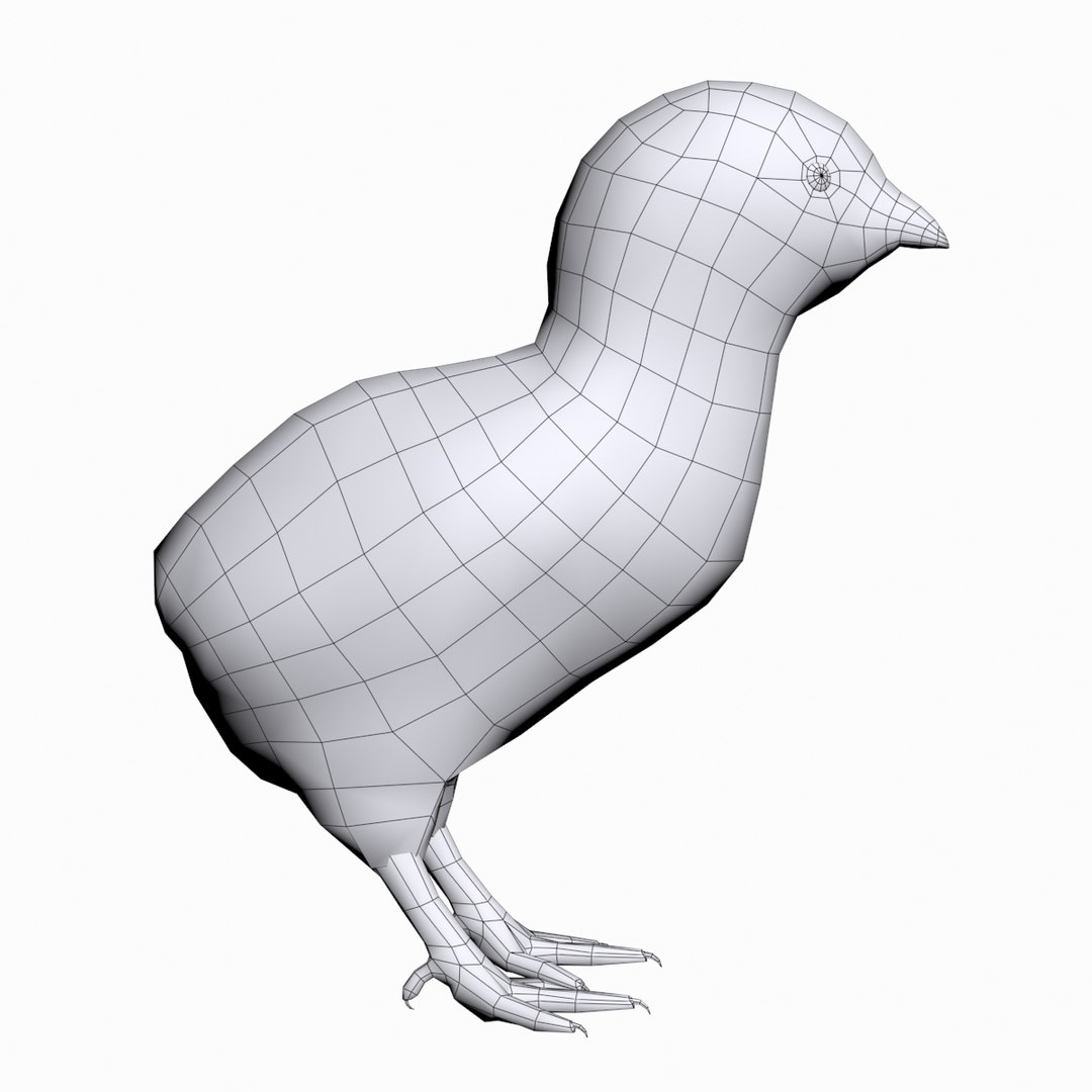 3d Chick Baby Chicken Model