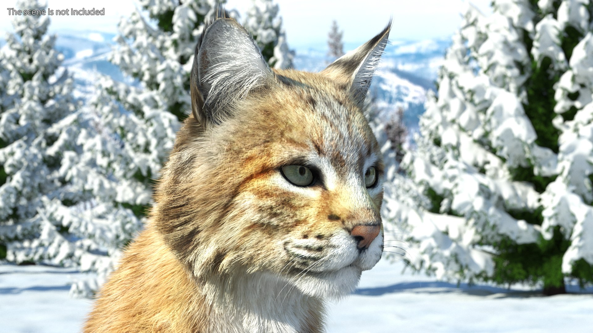 Lynx Rufus Sitting Fur 3D - TurboSquid 2025517