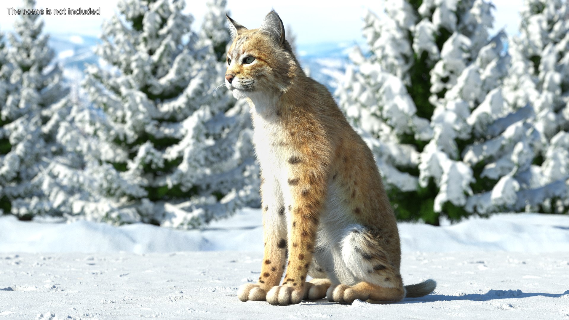 Lynx Rufus Sitting Fur 3D - TurboSquid 2025517