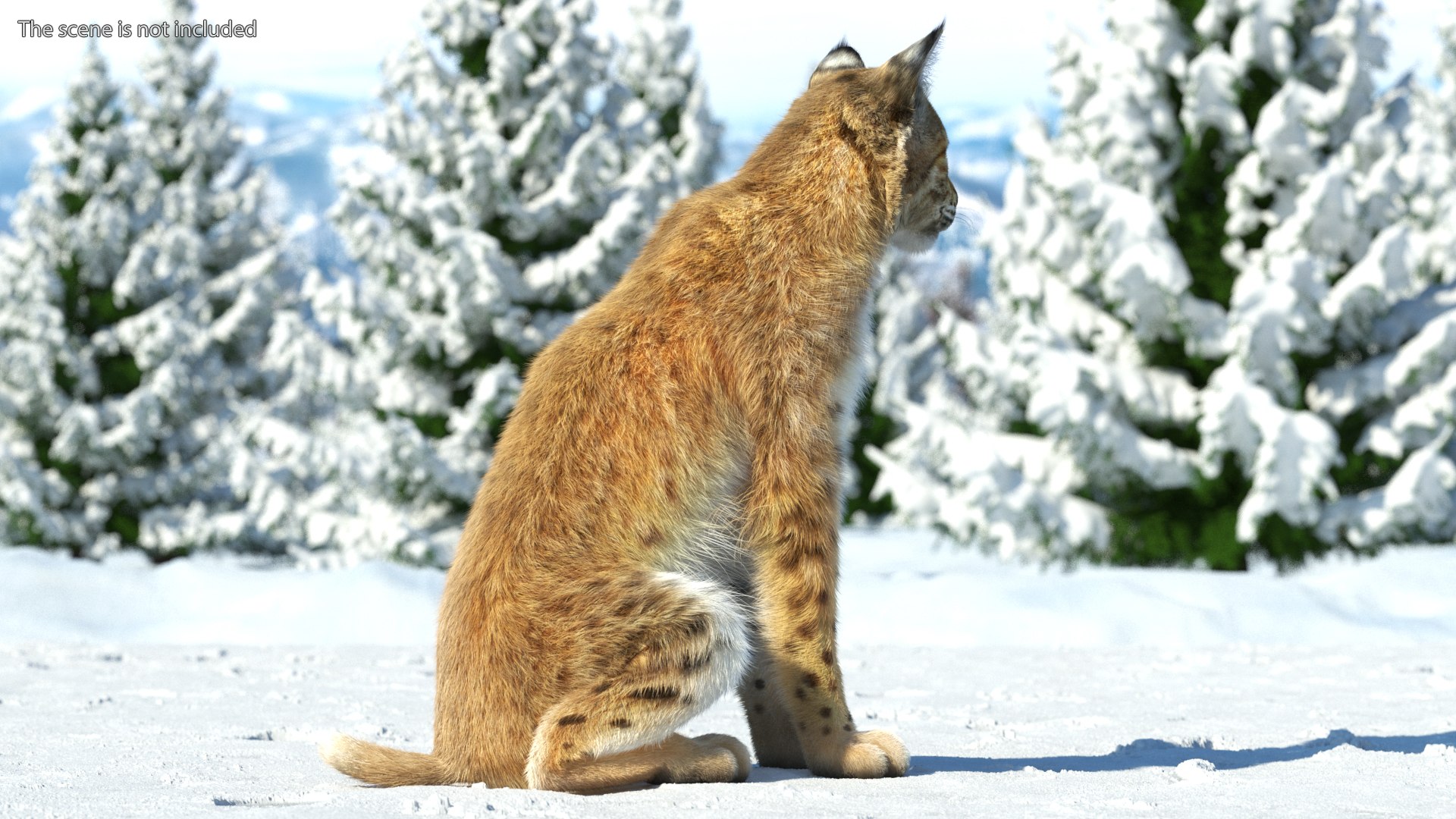 Lynx Rufus Sitting Fur 3D - TurboSquid 2025517