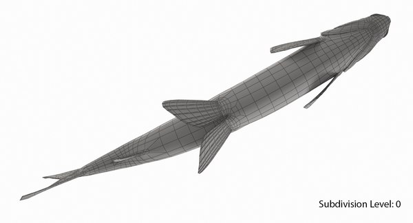 Whitefish 2 animation model - TurboSquid 1188902