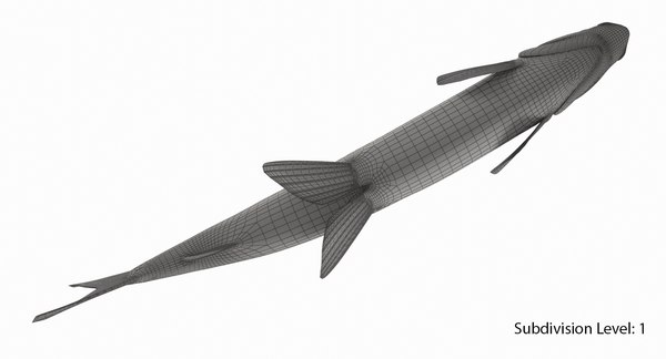 Whitefish 2 animation model - TurboSquid 1188902