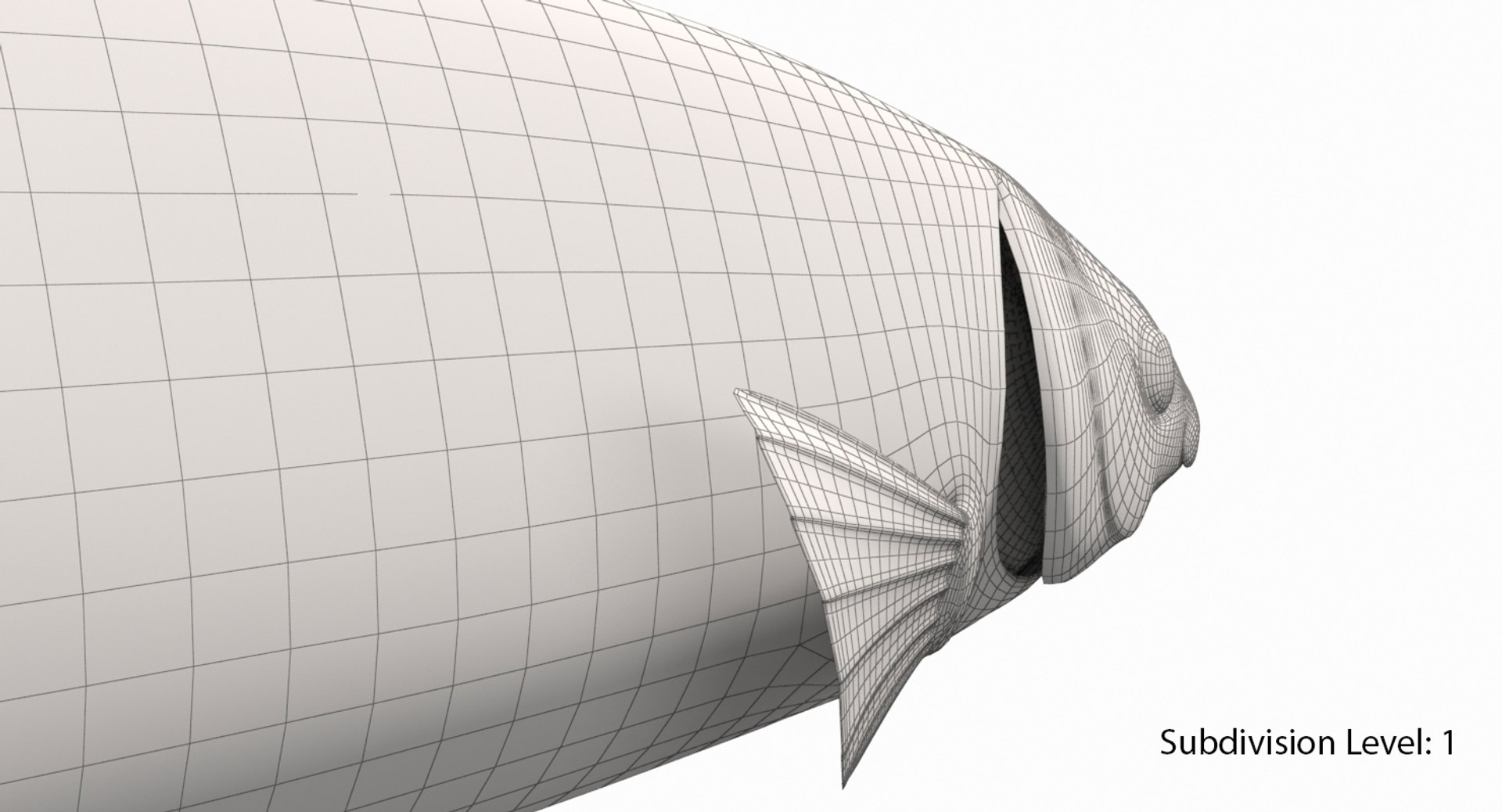 Whitefish 2 Animation Model - TurboSquid 1188902