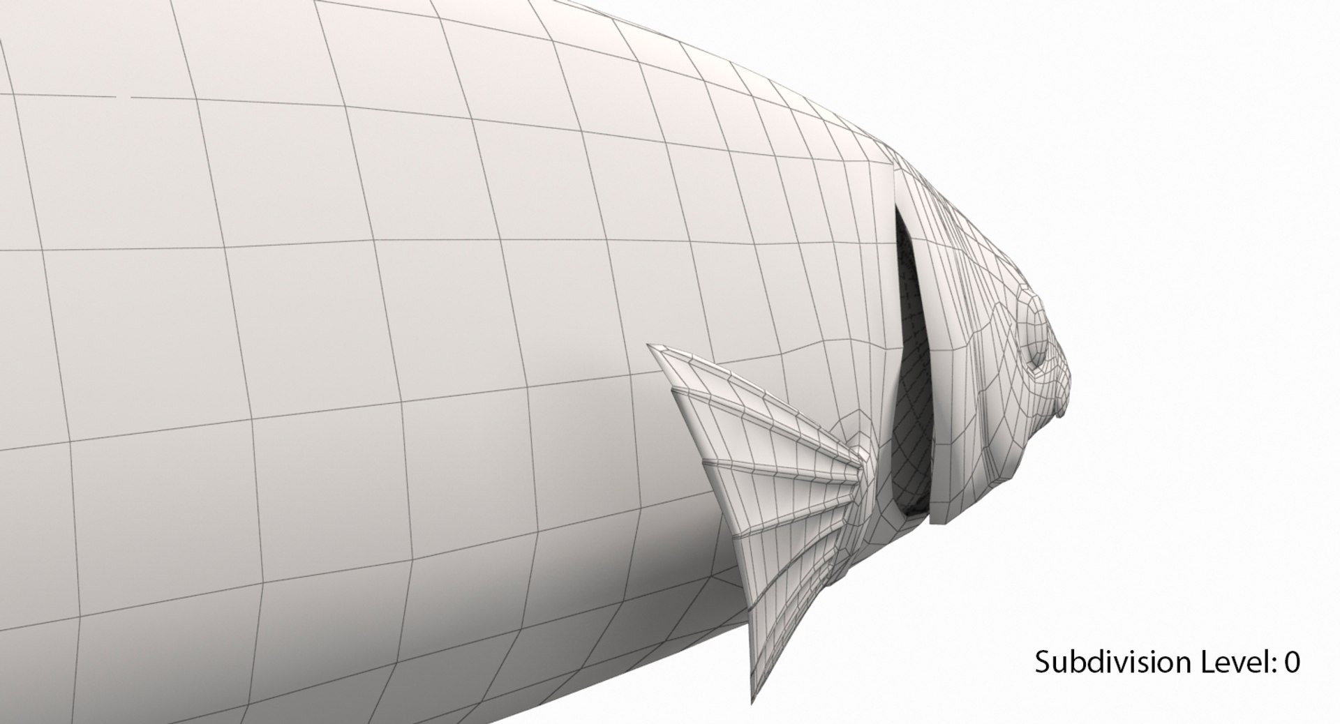 Whitefish 2 Animation Model - TurboSquid 1188902