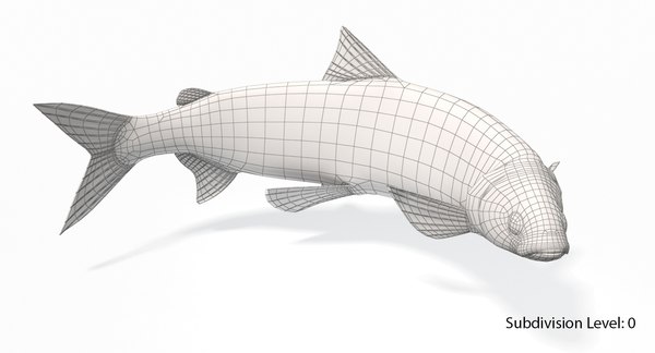 Whitefish 2 animation model - TurboSquid 1188902