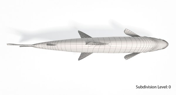 Whitefish 2 animation model - TurboSquid 1188902