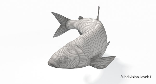 Whitefish 2 animation model - TurboSquid 1188902