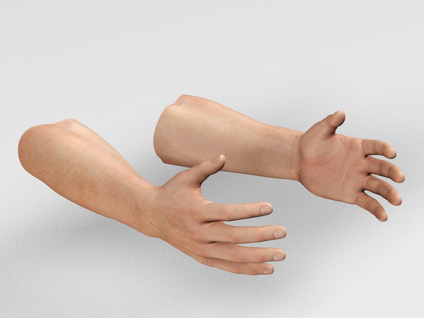 Realistic Man Hands Model - TurboSquid 1537051