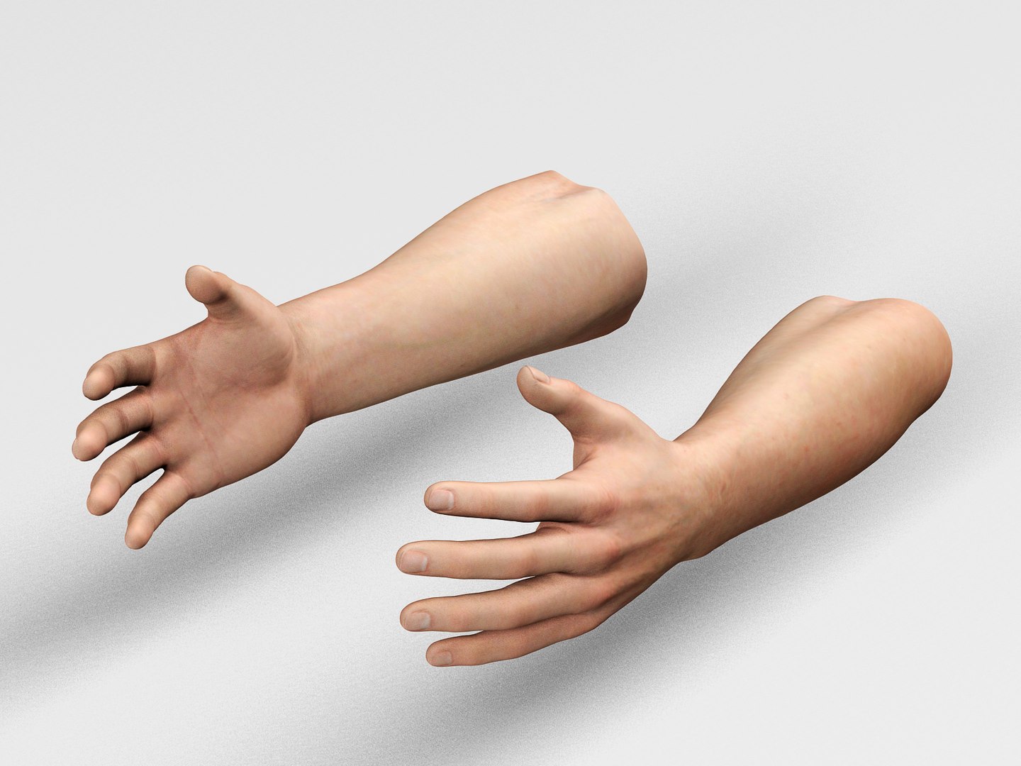 Realistic Man Hands Model - TurboSquid 1537051