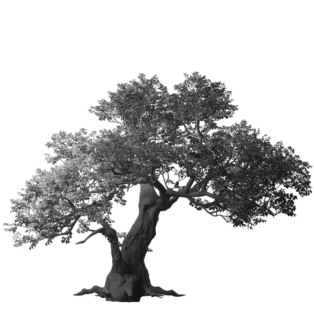 Tree Big 3D - TurboSquid 1515547