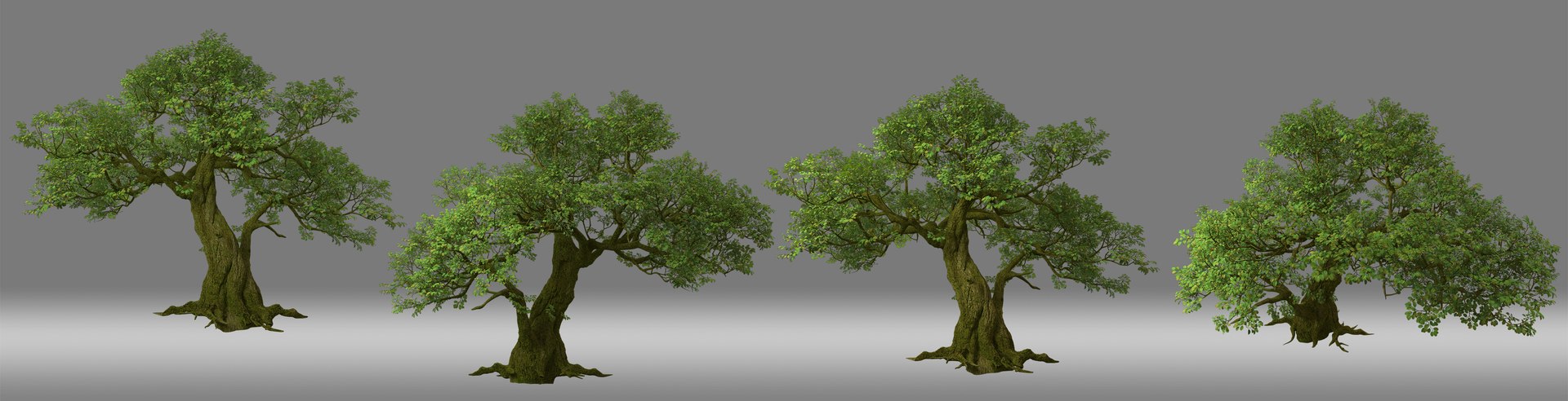Tree Big 3D - TurboSquid 1515547