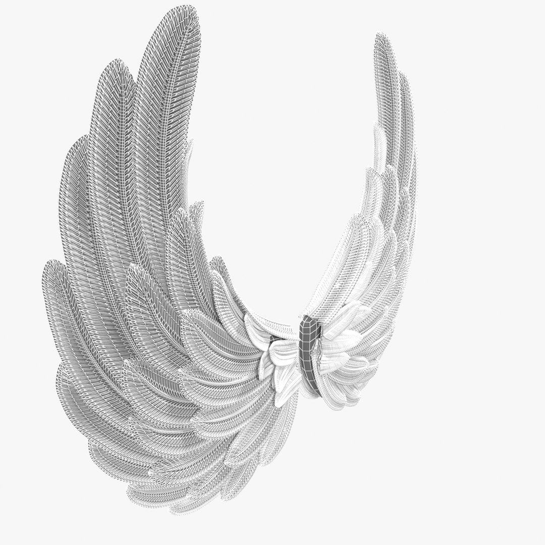 3d Wings