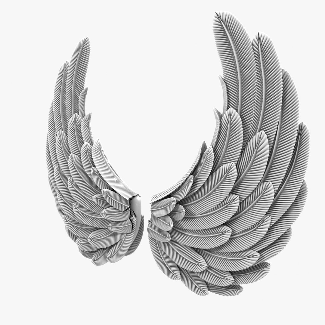 3d Wings
