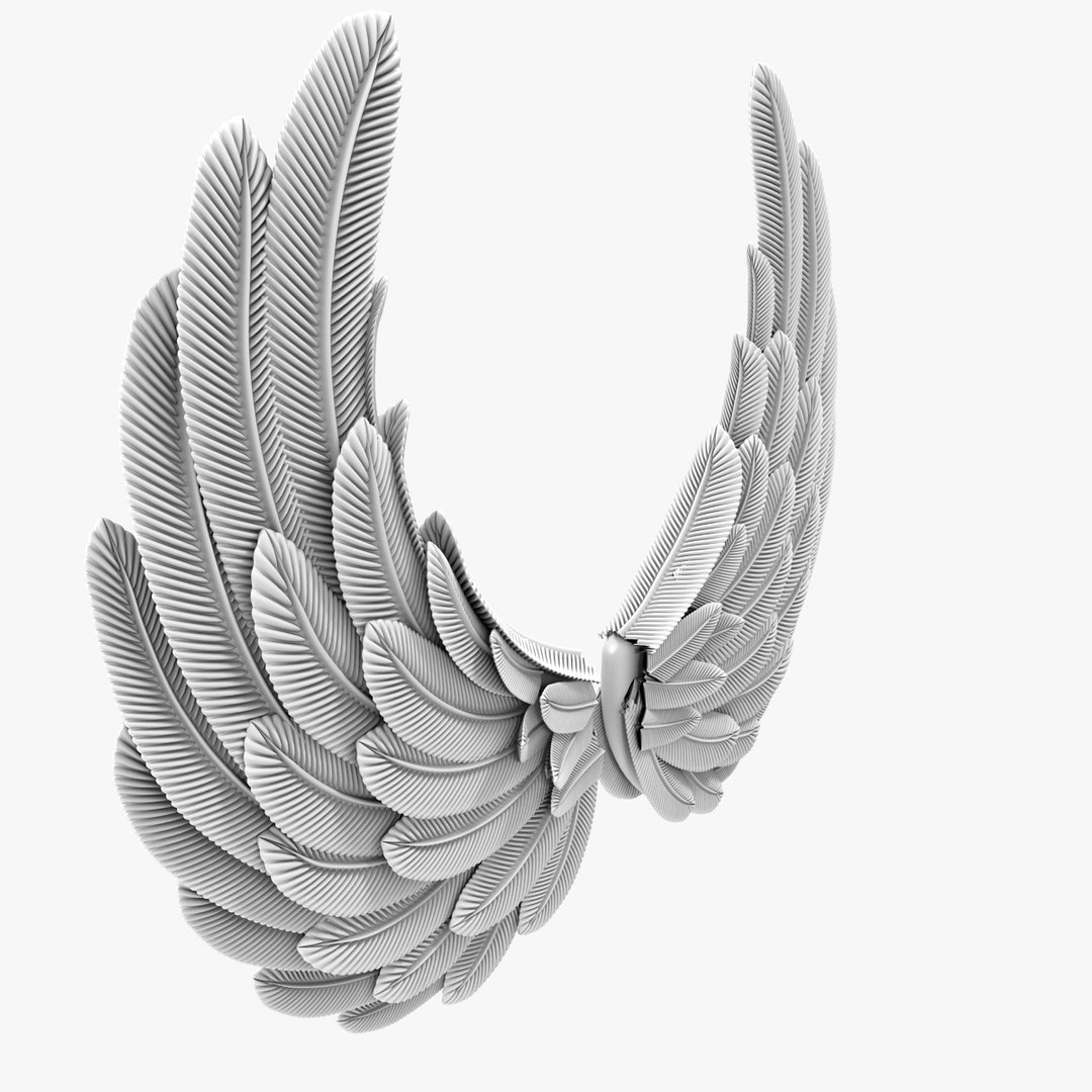 3d Wings