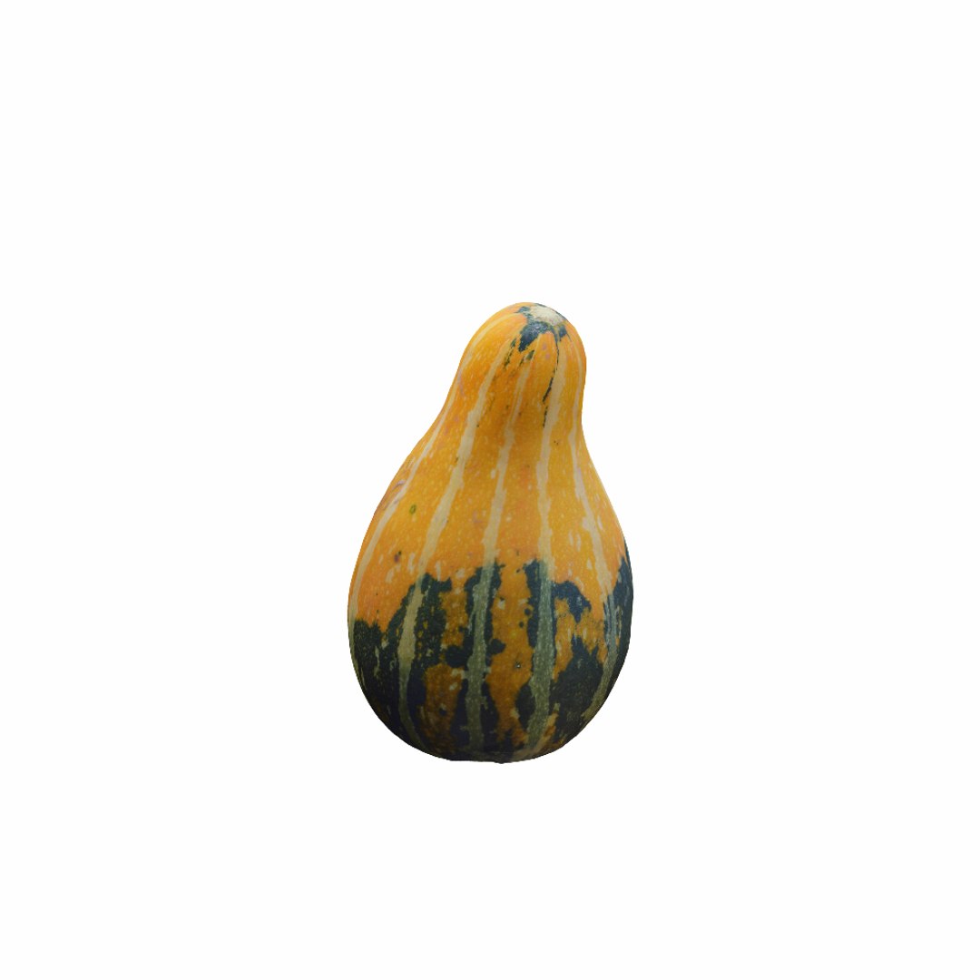 Scan Pumpkin 3D Model - TurboSquid 1227231