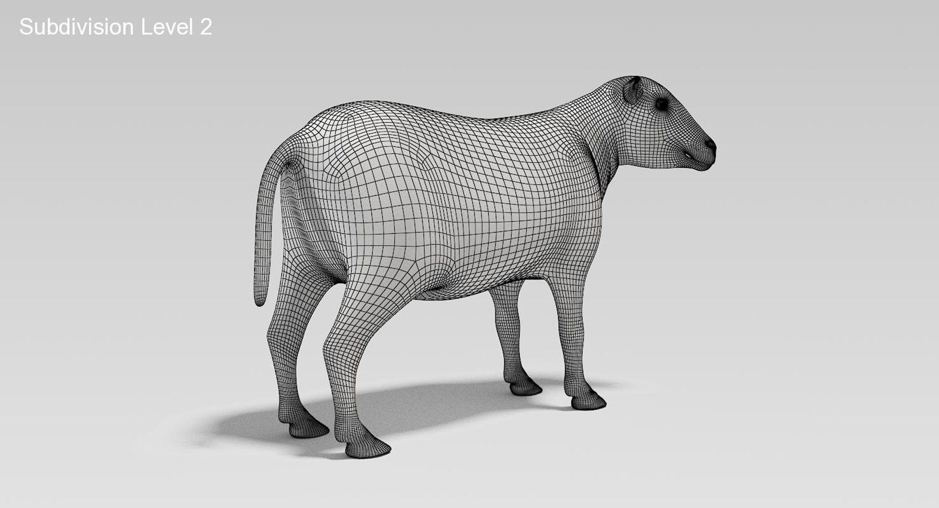 3d Model Realistic Sheep