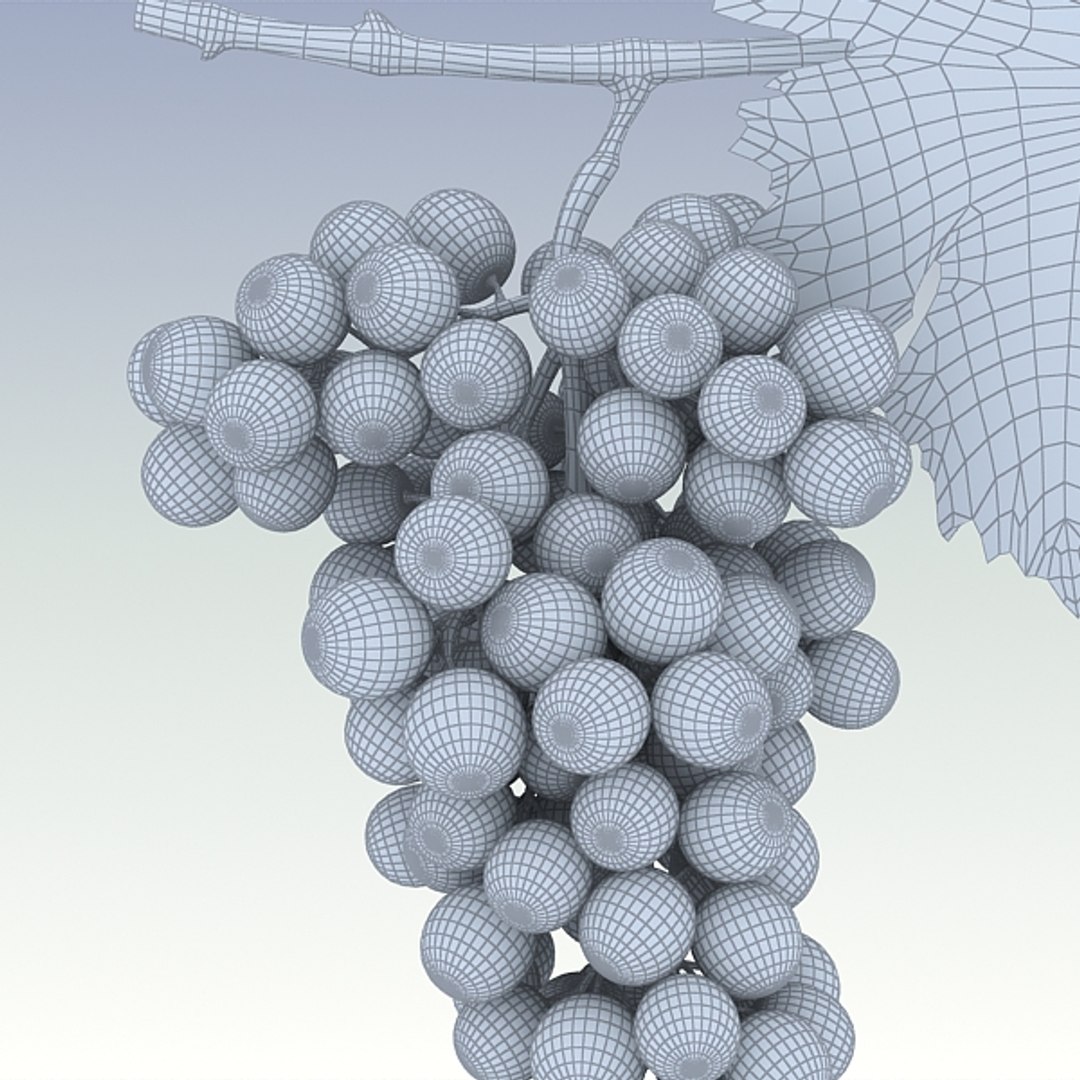 green grapes 3d model