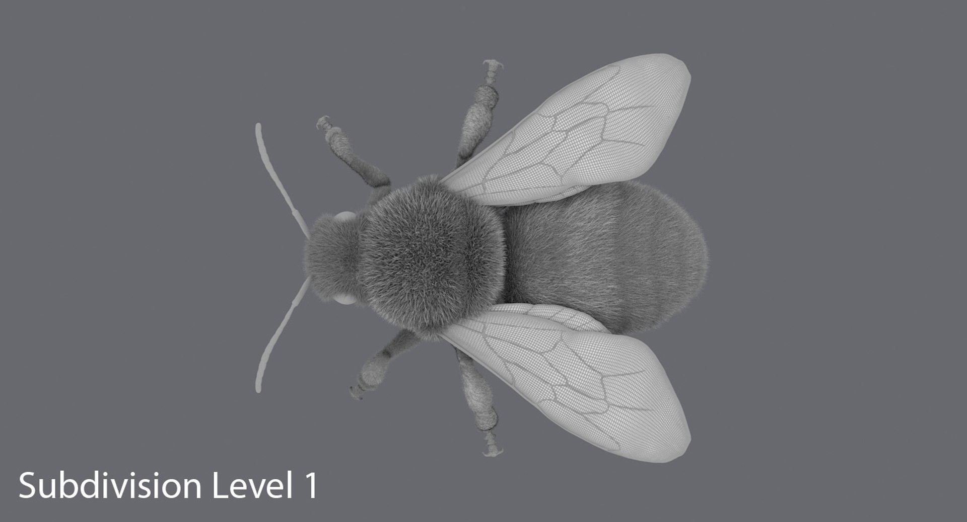 Bumblebee Bumble Bee 3d Model